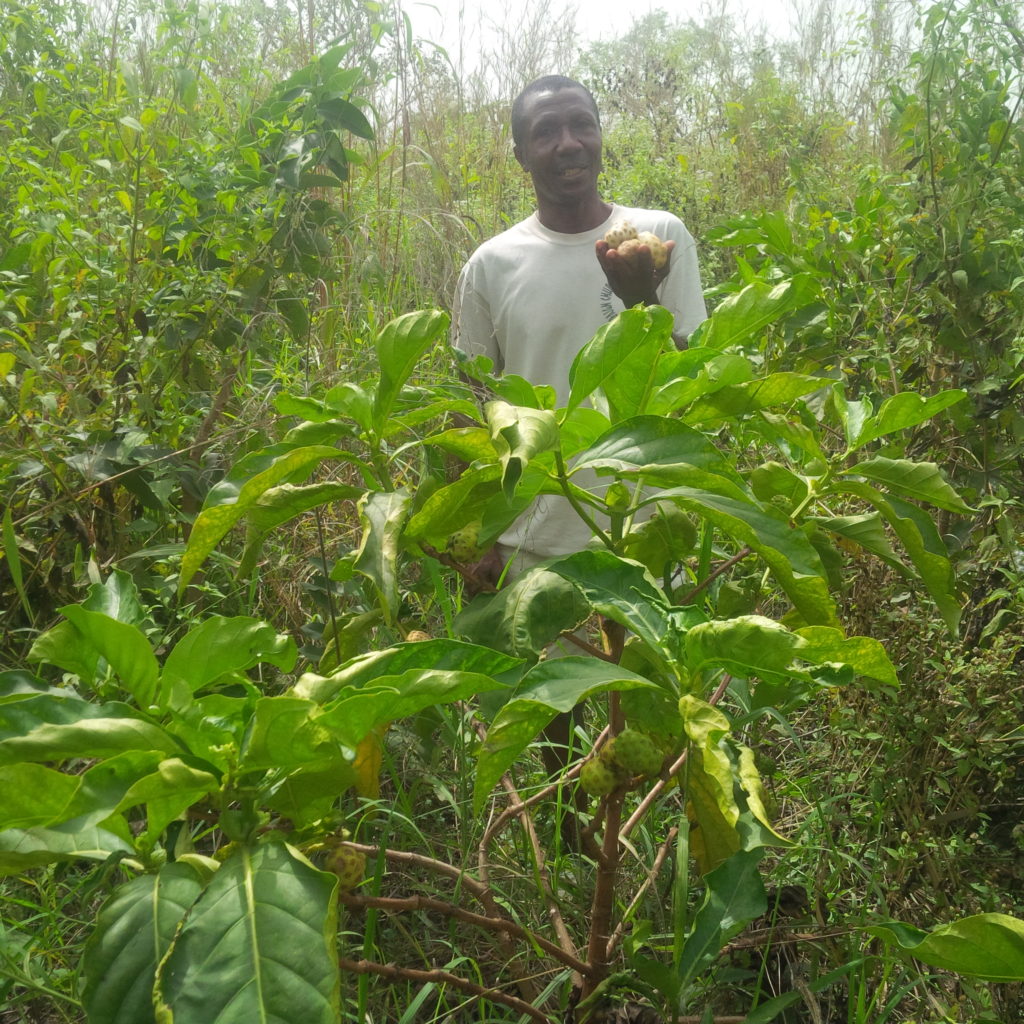 Kpeve, Ghana – International Cities of Peace