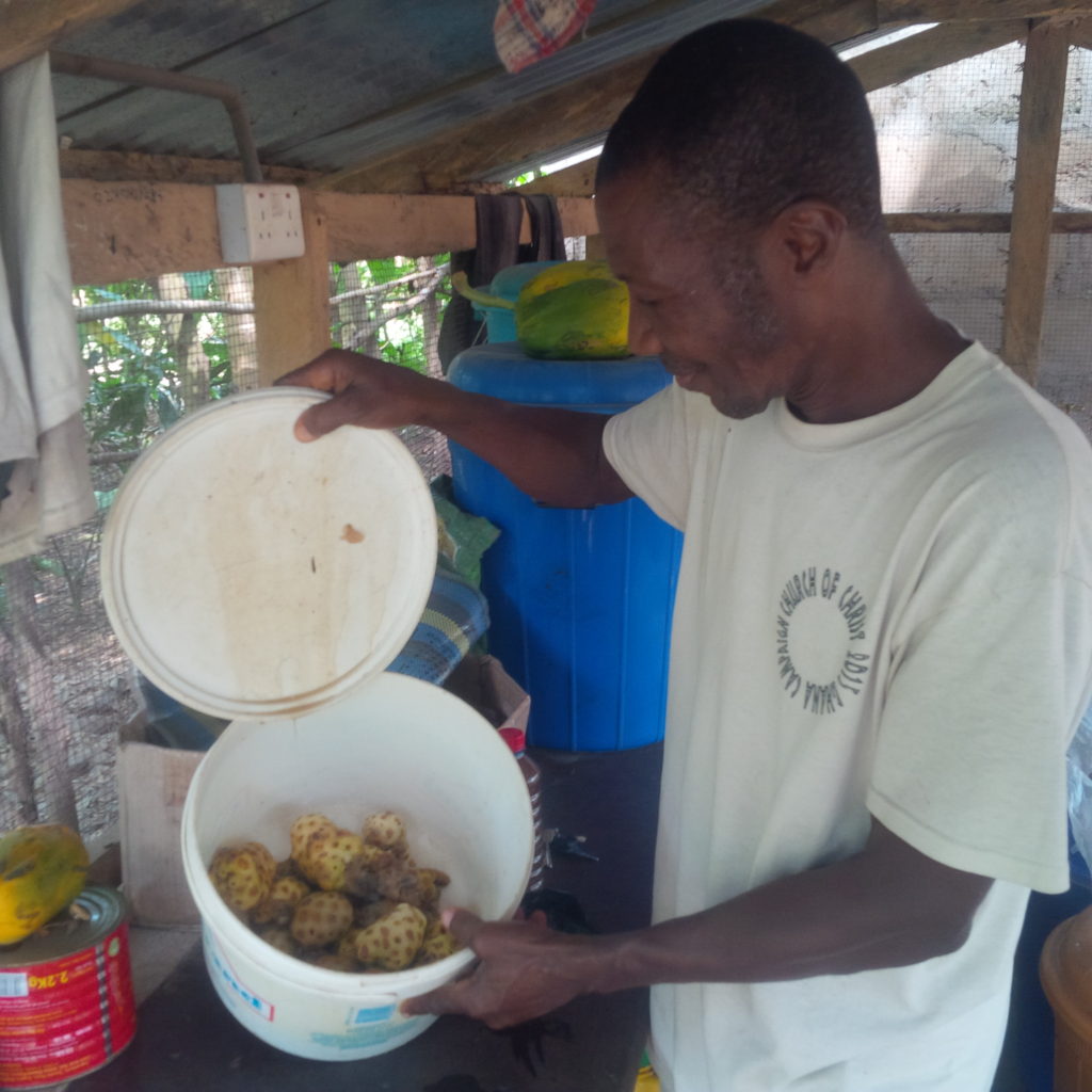 Kpeve, Ghana – International Cities of Peace