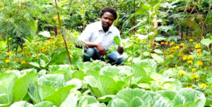 Tamera, Portugal – International Cities of Peace