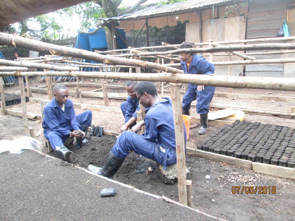 Sake, North Kivu, D.R. Congo – International Cities of Peace