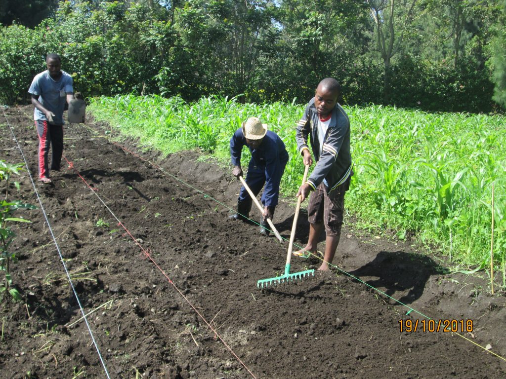 Sake, North Kivu, D.R. Congo – International Cities of Peace